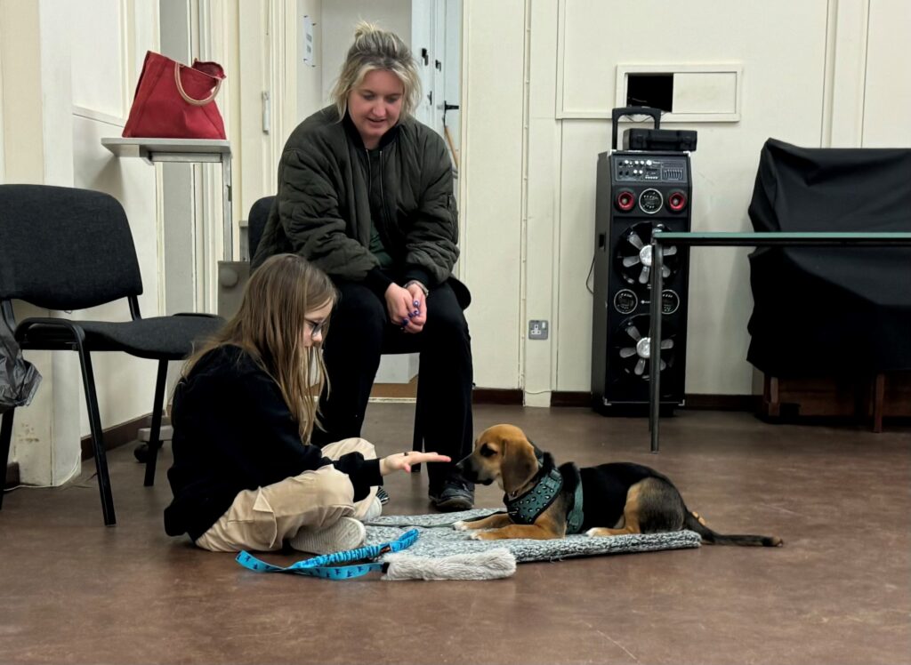 Puppy Training Class | Puppy Socialization | Boxhill Surrey